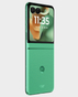 Buy Motorola Razr 60 8GB 256GB - Spring Bud in Qatar - AlaneesQatar.Qa