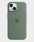 Buy Apple Silicone Case for iPhone 15 - Cypress in Qatar - AlaneesQatar.Qa