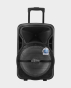 Buy Geepas GMS8568 Portable & Rechargeable Professional Speaker with ...