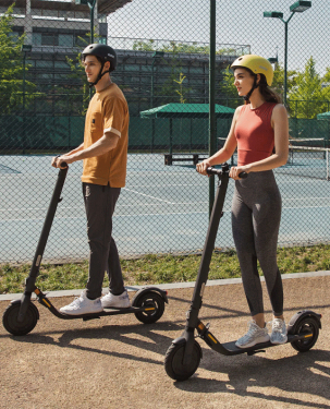 Buy Segway Ninebot KickScooter E25A in Qatar - AlaneesQatar.Qa