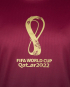 Buy FWC Qatar 2022 Official Emblem Gradient Jersey Premium (Size: L ...