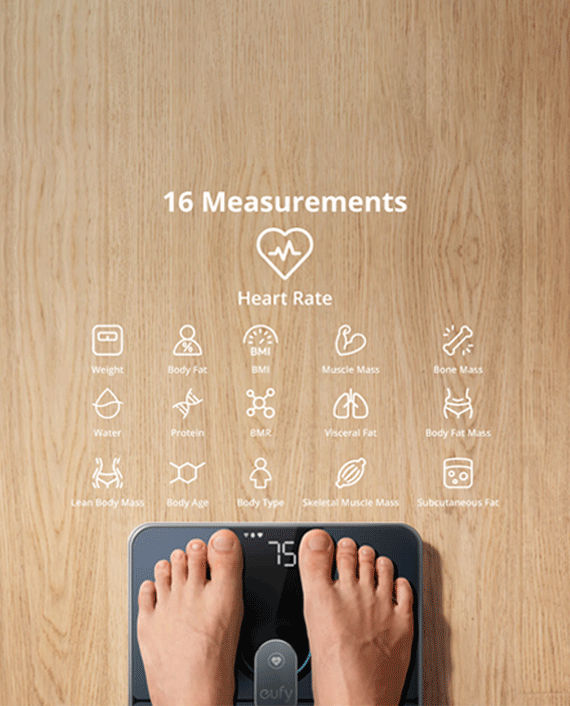 Buy Anker Eufy Smart Scale P2 Pro in Qatar - AlaneesQatar.Qa