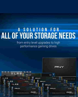 Buy PNY CS2230 500GB M.2 NVMe Gen3 Internal SSD in Qatar - AlaneesQatar.Qa