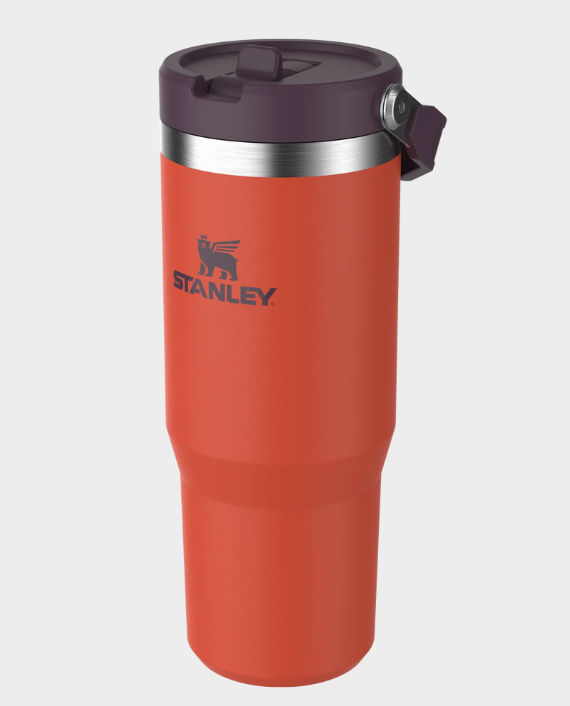 Buy Stanley IceFlow Flip Straw Tumbler (887ml, Tigerlily Plum) in Qatar ...